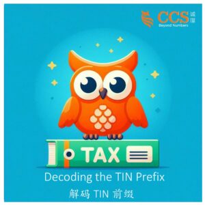 Understanding the Tax Identification Number (TIN) Prefix in E-Invoicing ...