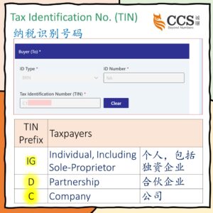 Understanding the Tax Identification Number (TIN) Prefix in E-Invoicing ...