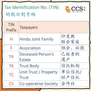 Understanding the Tax Identification Number (TIN) Prefix in E-Invoicing ...
