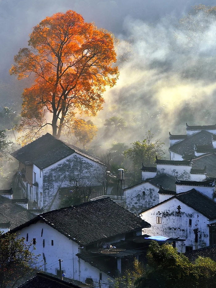 Internal Control Components: Monitoring – CCS