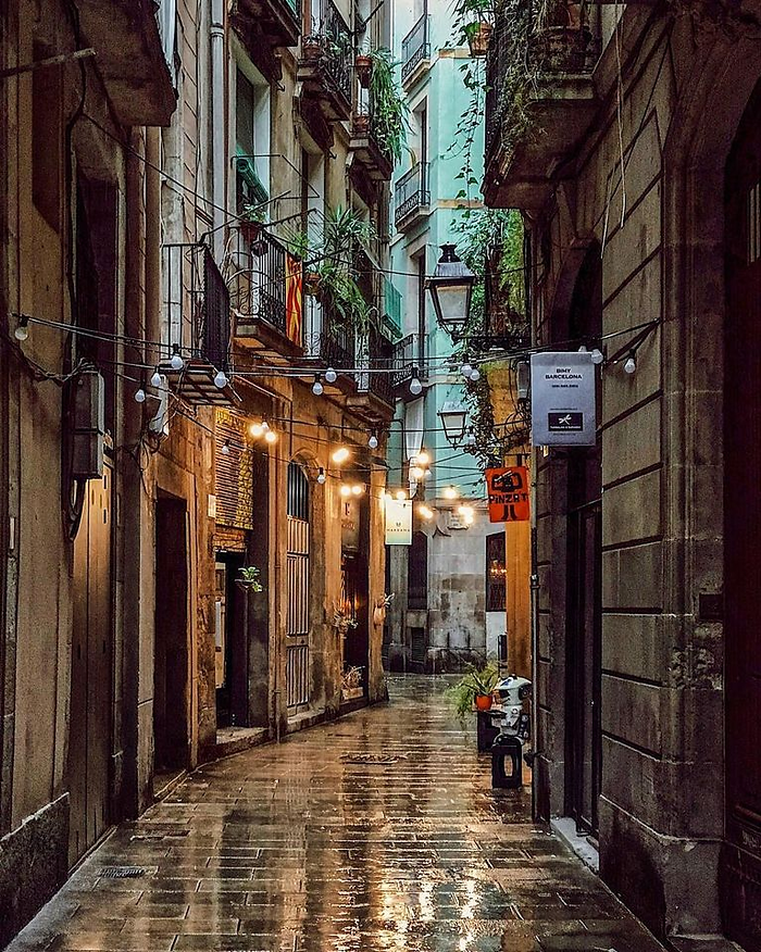 Capital Allowance: Is Acoustic Ceilings and Electrical Installations a ...