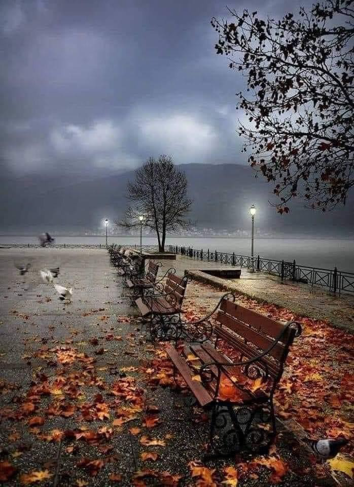 Public Ruling No. 4/2022: Recovery From Persons Leaving Malaysia – CCS