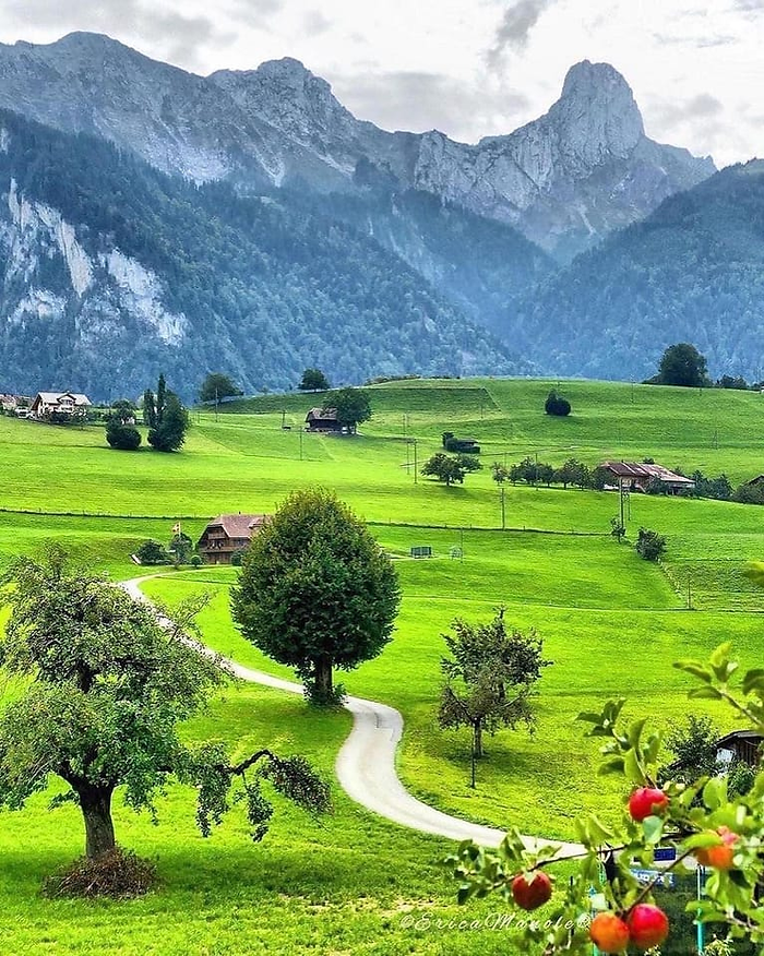 Declaration Section of Form C Y/A 2022 – CCS