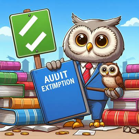 Understanding Audit Exemption in Malaysia: New Criteria – CCS