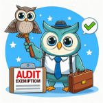 Understanding Audit Exemption in Malaysia: New Criteria – CCS