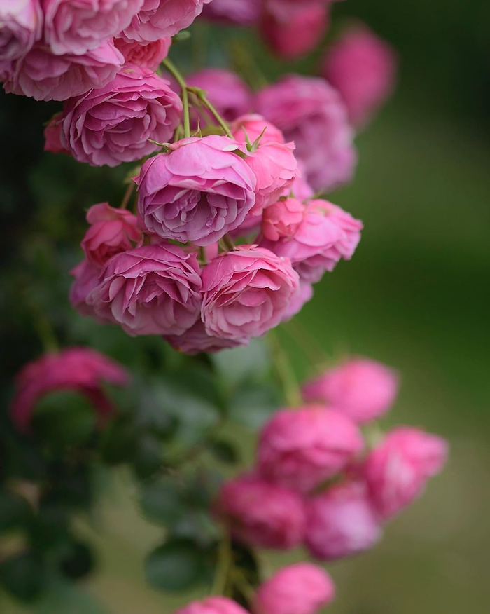 Increase in export sales of Agricultural Produce or Manufacturing ...